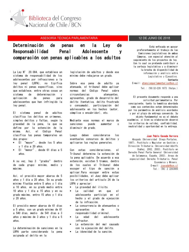 Rpa Apunte | PDF | Castigos | Derecho penal