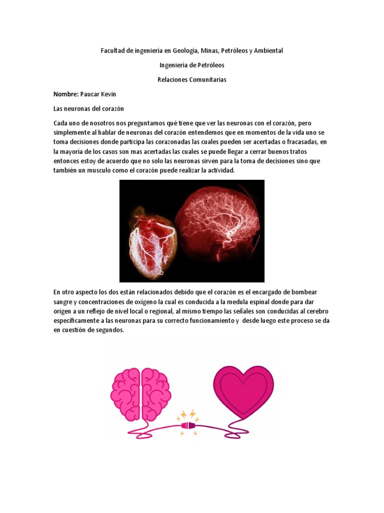 Neuronas Del Corazon | PDF