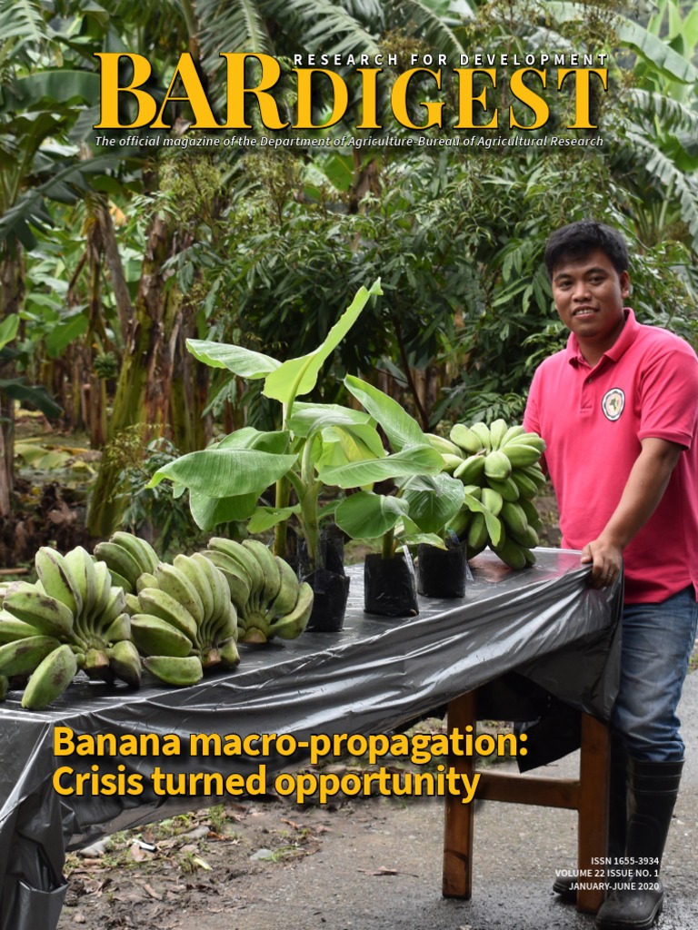 BAR Digest January-June 2020 Issue | PDF | Rice | Banana