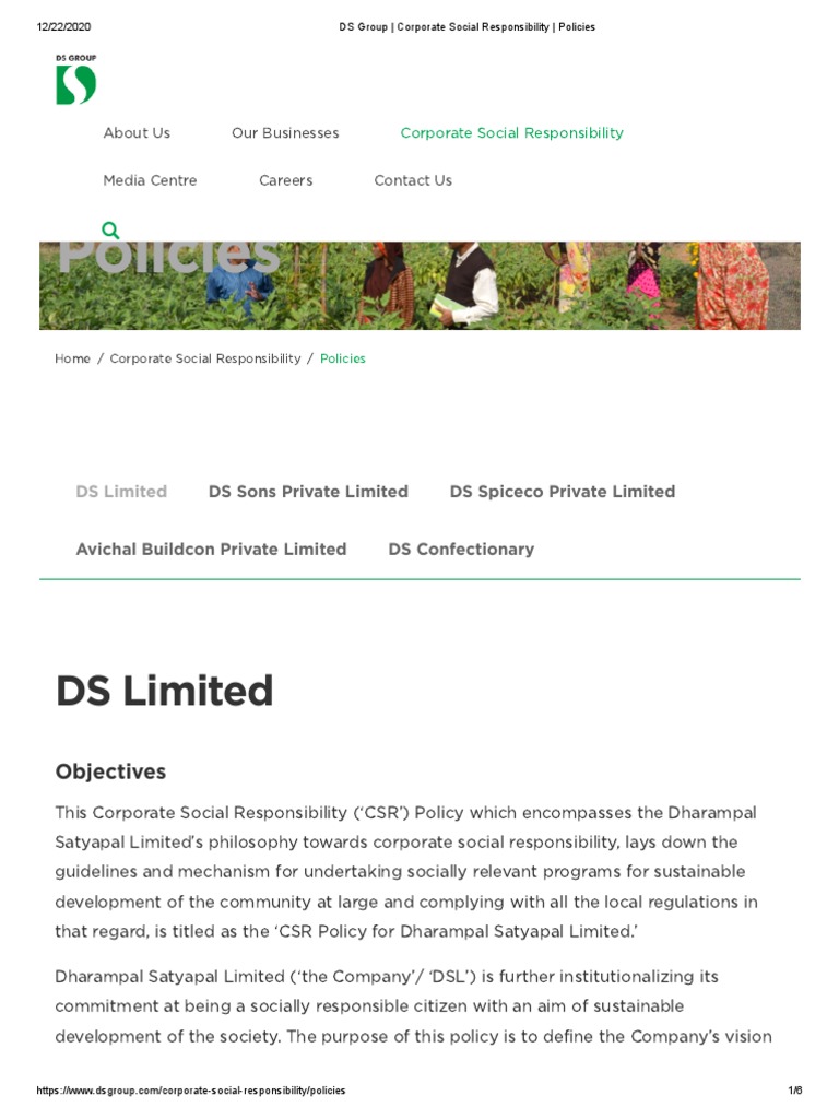 DS Group - Corporate Social Responsibility - Policies | PDF | Corporate ...