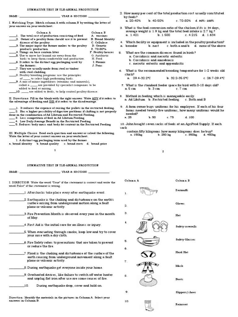 G9 Summative Test 4 V2 For Printing | PDF | Personal Protective ...