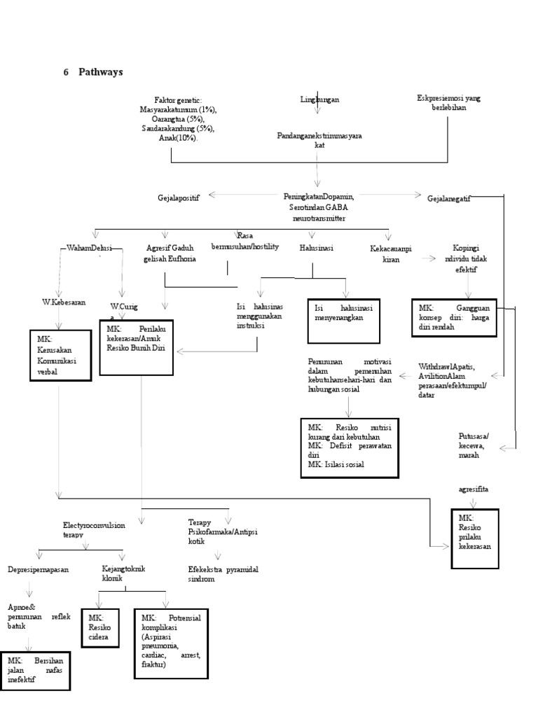 WOC Skizofrenia | PDF