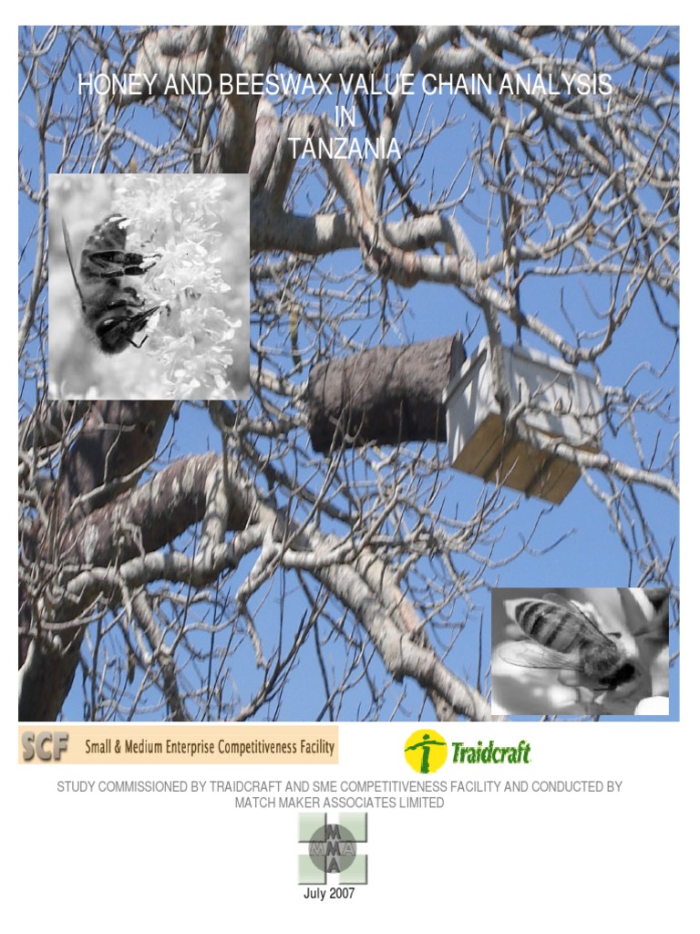 Honey Value Chain in Tanzania | PDF | Beekeeping | Tanzania