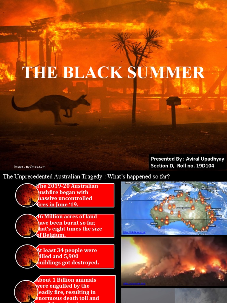 The Black Summer | PDF