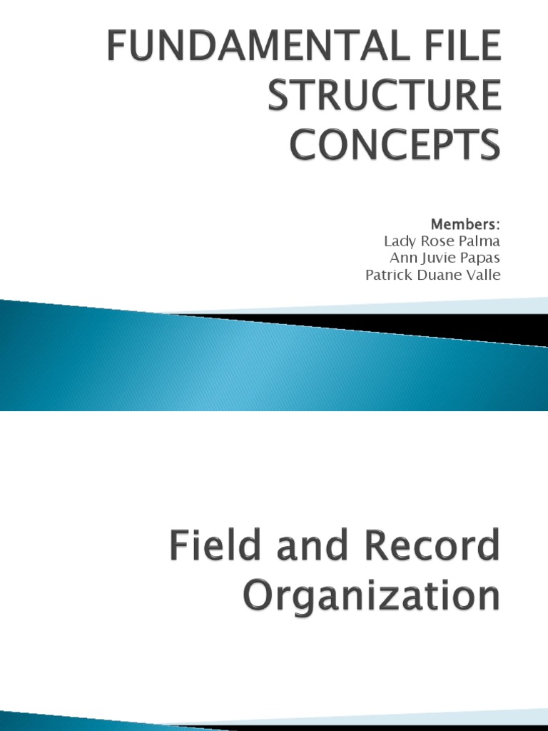 Fundamental File Structure Concepts Report Pdf Byte Computer File
