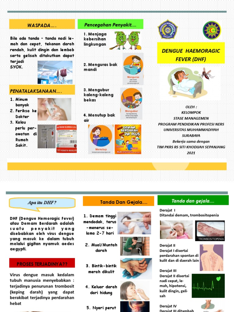 Leaflet DHF (Dengue Haemorragic Fever) | PDF
