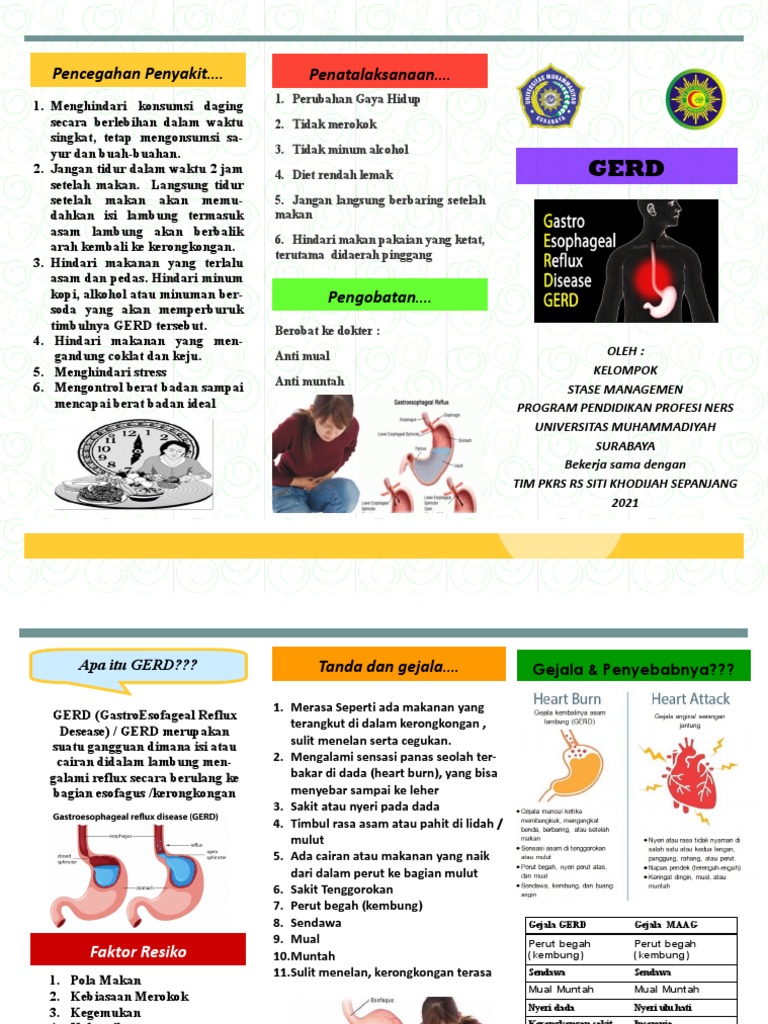 Leaflet GERD | PDF