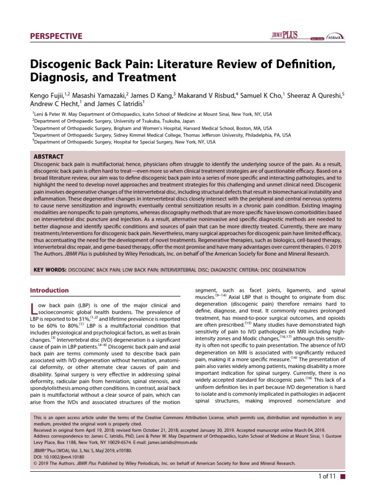 Discogenic Back Pain Literature Review of Definition Diagnosis and ...