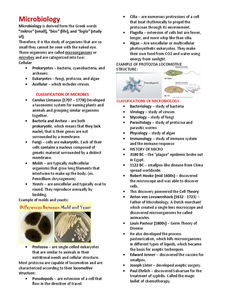 Microbiology (Trans) First Part | PDF | Growth Medium | Staining