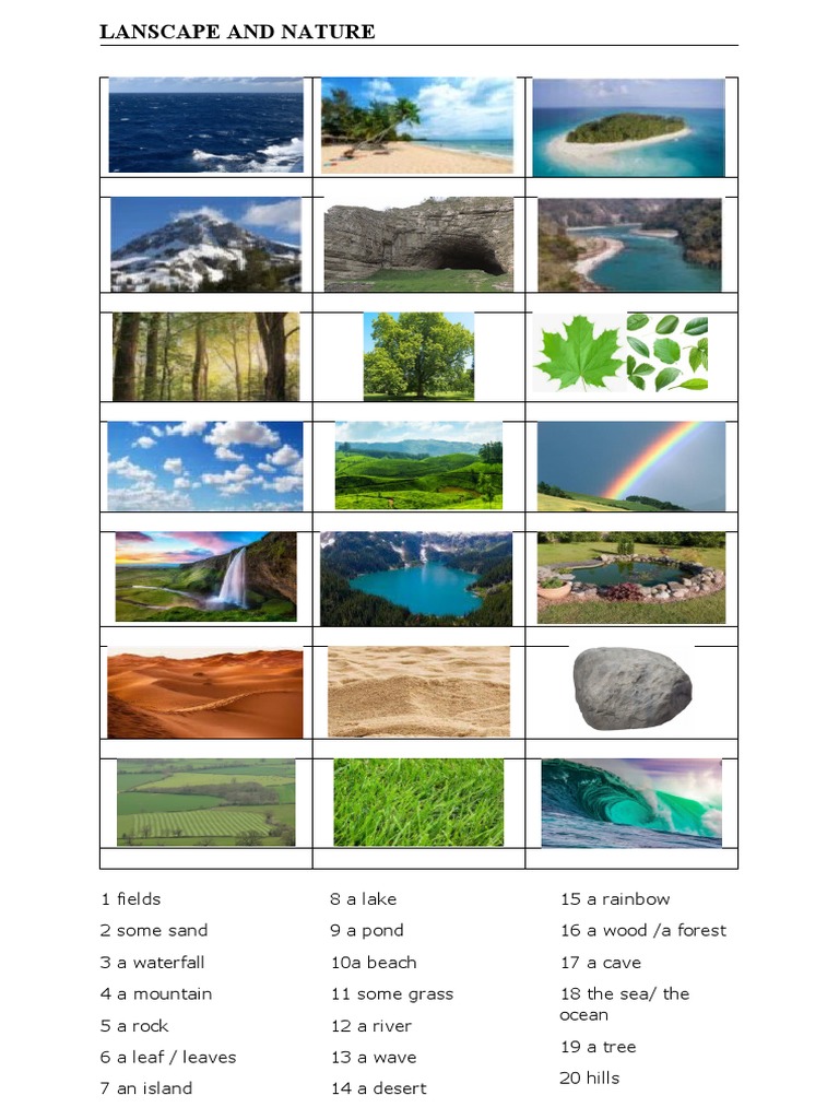 Landscape and Nature Elements List | PDF