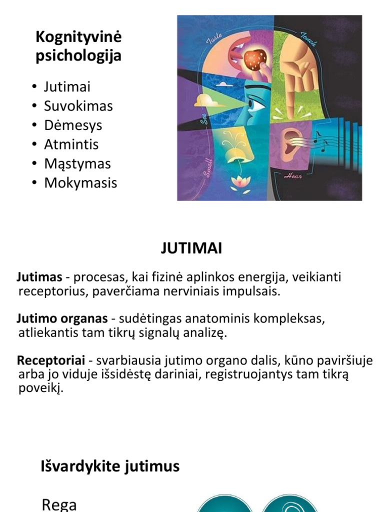 Kognityvinė Psichologija | PDF