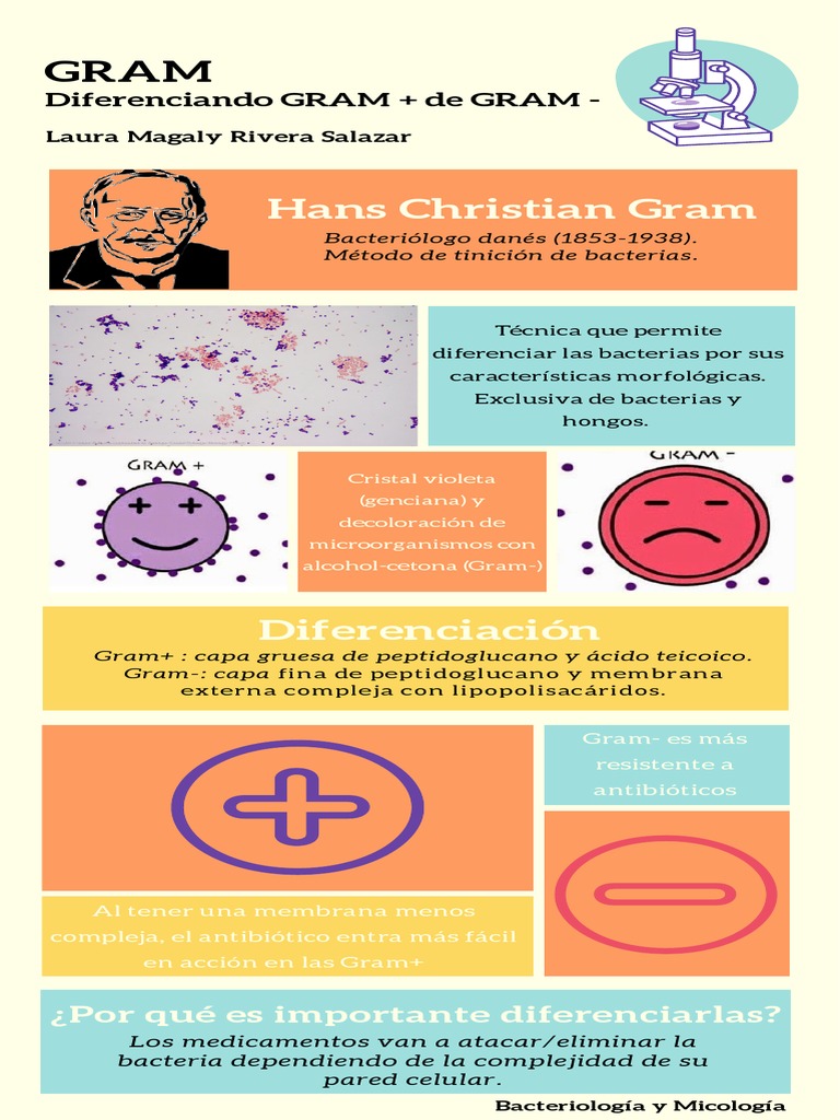 Diferenciación de Bacterias Gram+ y Gram- | PDF | Ciencia y matemáticas
