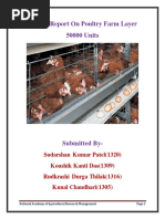 (PDF) Layers Feeding Guide, Growth & Weight Chart - Livestocking | PDF ...