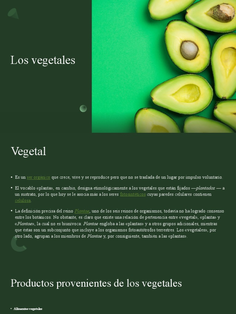 Vegetales | PDF