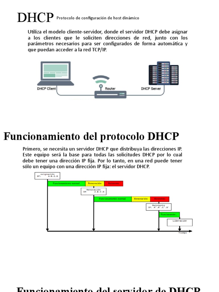 Protocolos DHCP DNS | PDF | Dirección IP | sistema de nombres de dominio