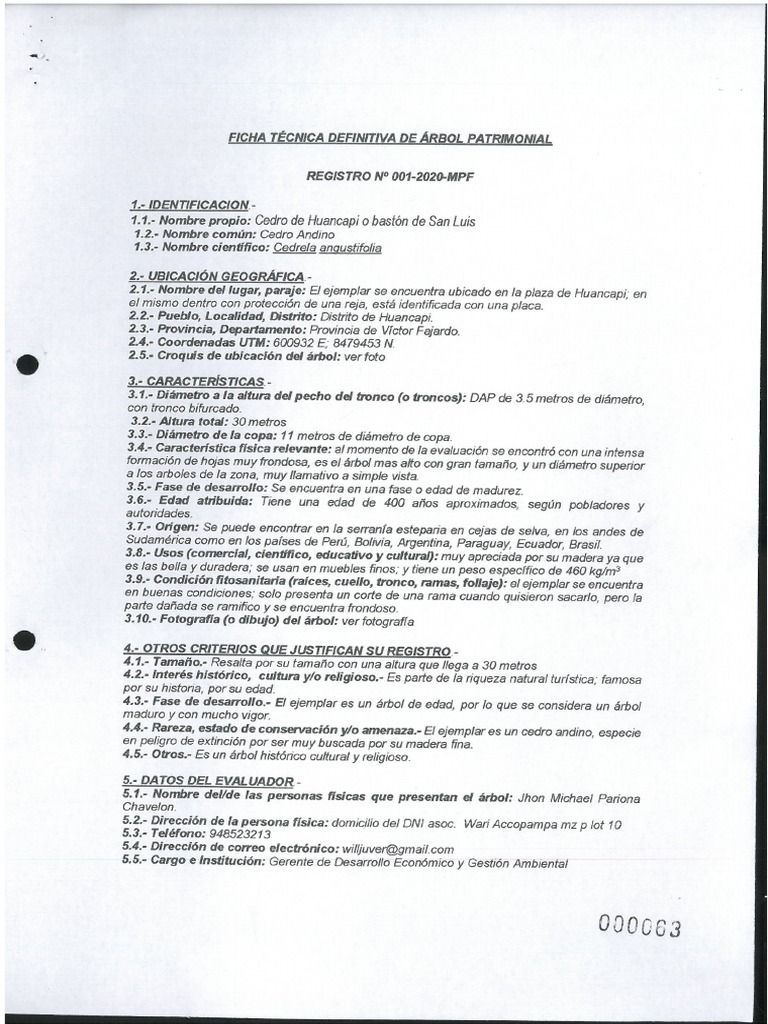 Cedro de Huancapi | PDF