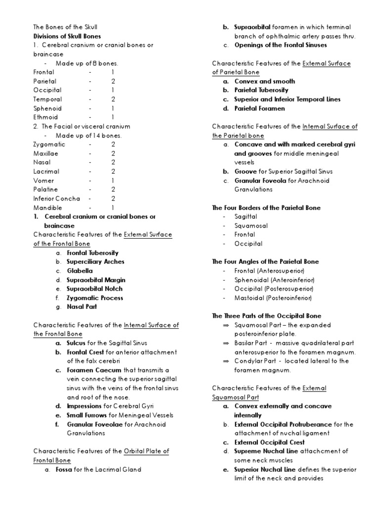 SFSFSF | PDF | Skull | Skeletal System