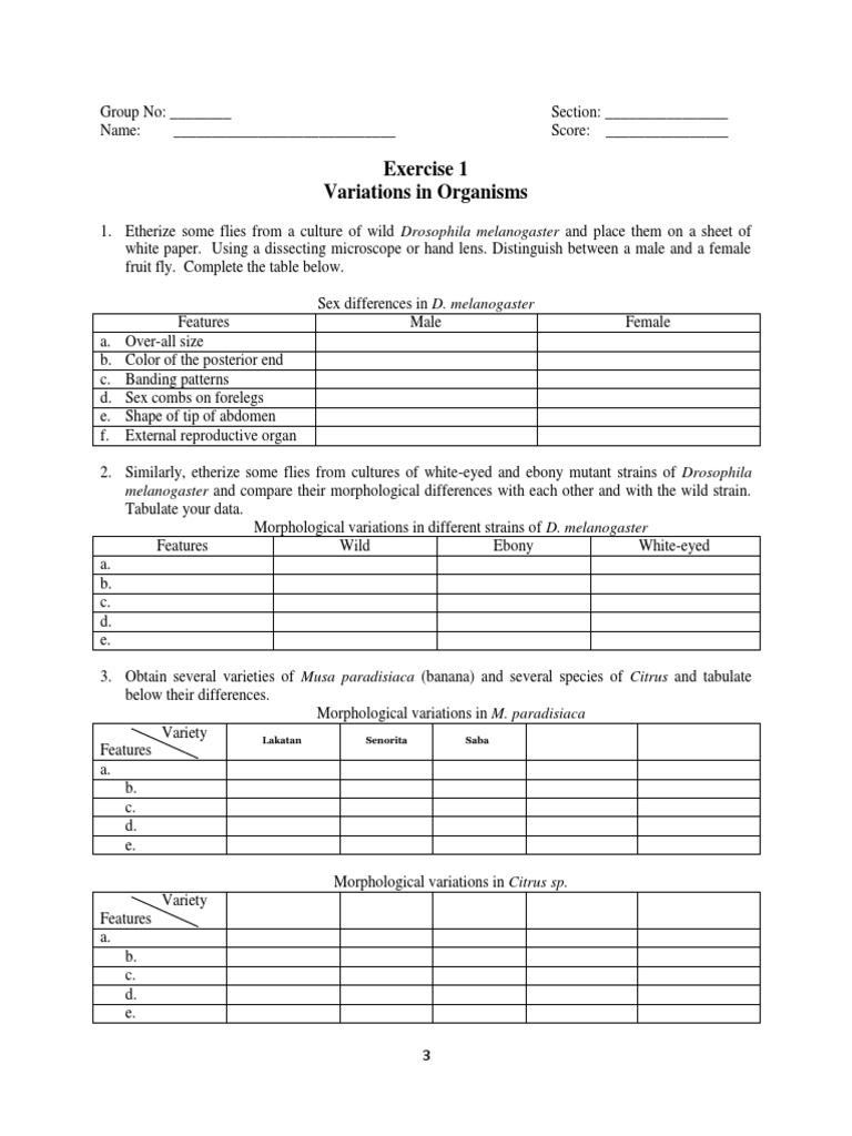 Genetics Lab Exercise 1 - Variations in Organisms 12.07.30 PM | PDF ...