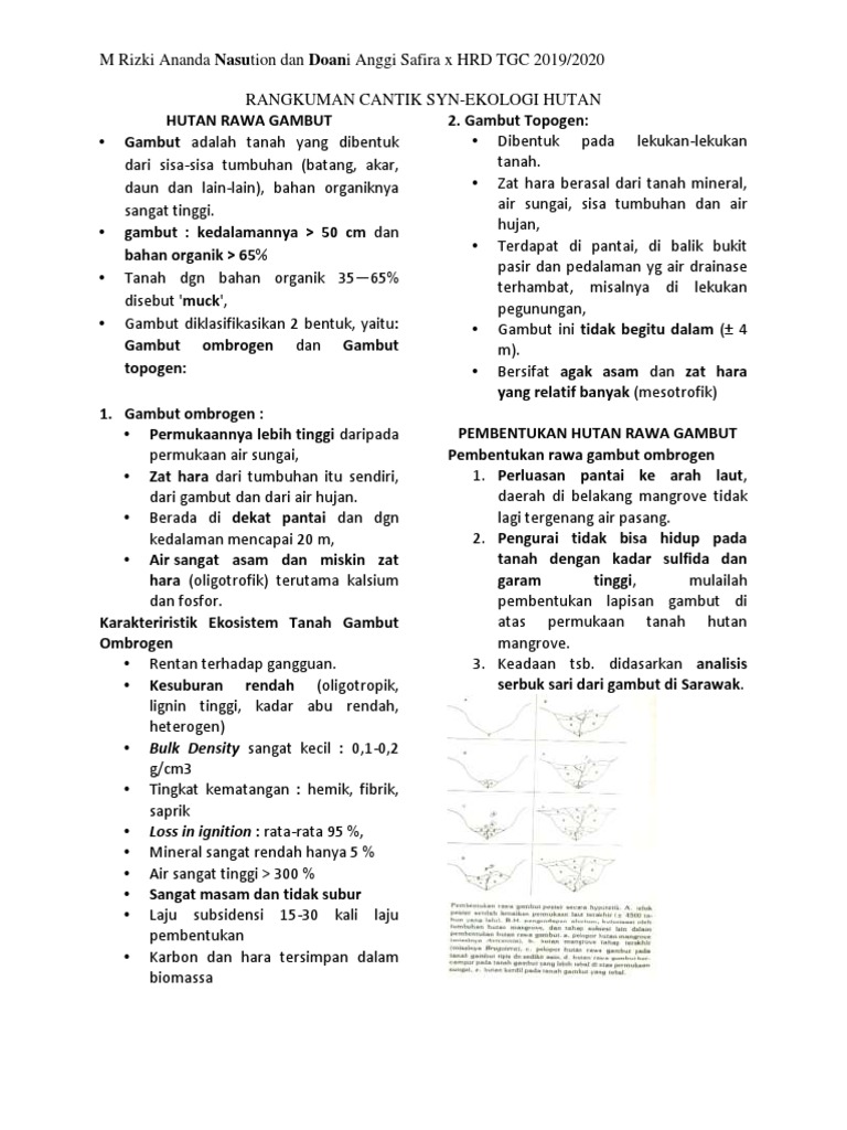 Rangkuman Syn-Ekologi (Nasu Dan Doan) | PDF