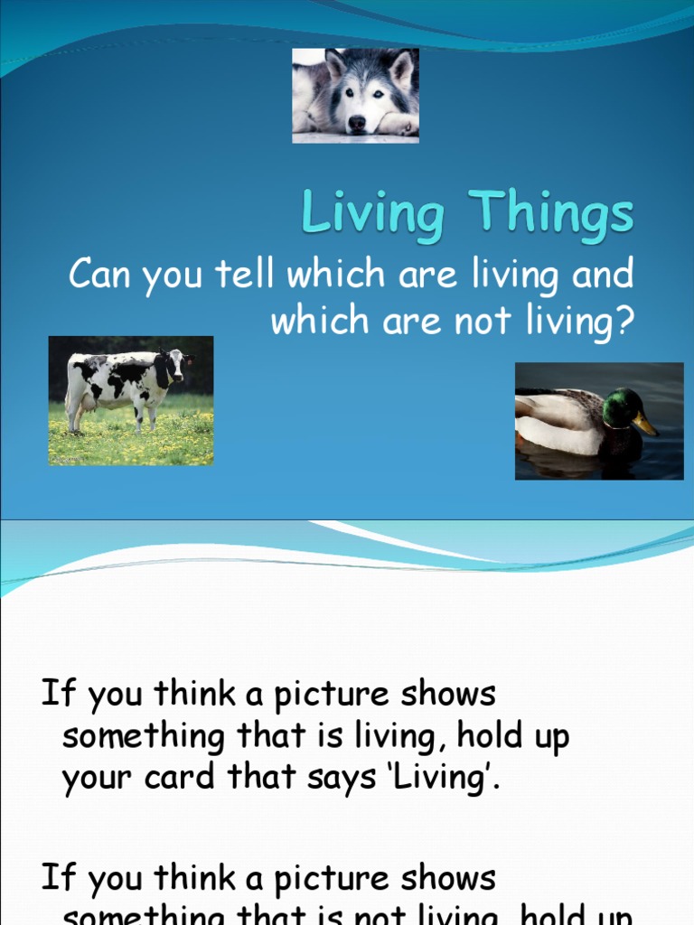 Monday - PowerPoint Introduction To Living Thingsa | PDF