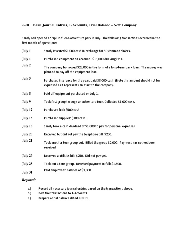 2-2B Basic Journal Entries, T-Accounts, Trial Balance - New Company ...