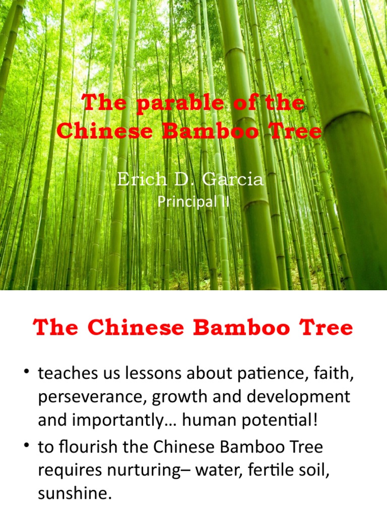 The Parable of the Chinese Bamboo Tree | PDF