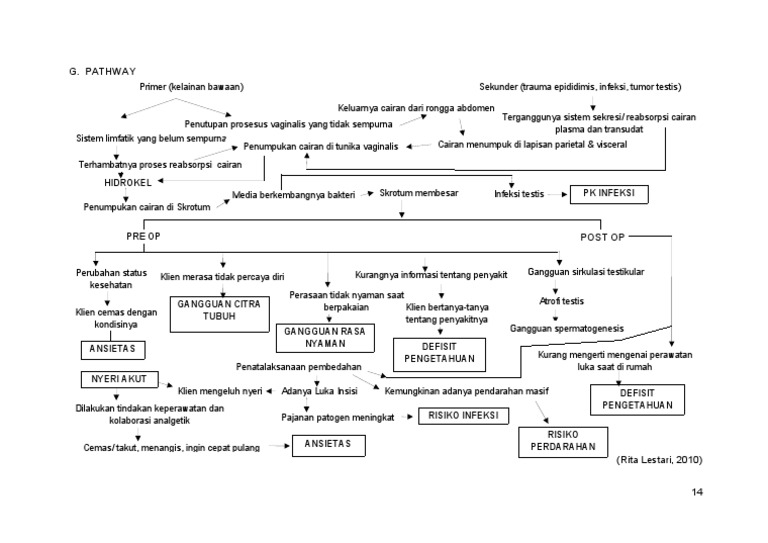 Pathway Hidrokel | PDF