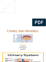 Q-Tip Test for Urethral Mobility | PDF | Urinary Incontinence | Urinary ...