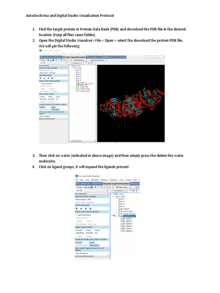 Autodock - Vina Protocol | PDF | Docking (Molecular) | Ligand (Biochemistry)