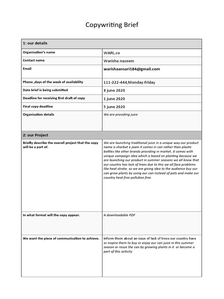 Copywriting Brief: 1: Our Details | PDF | Target Audience | Marketing