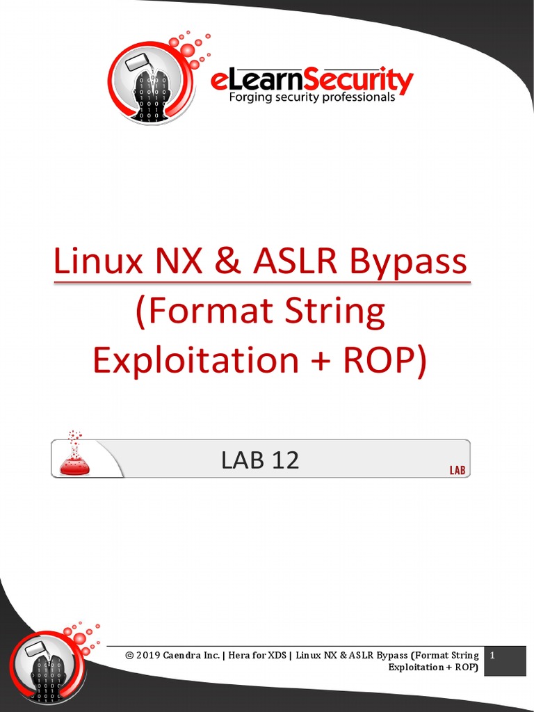 Lab12 Linux NX and ASLR Bypass | PDF | Operating System Technology | System Software