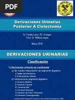 Obstrucción y Estasis Urinaria | PDF | Vejiga urinaria | Urología