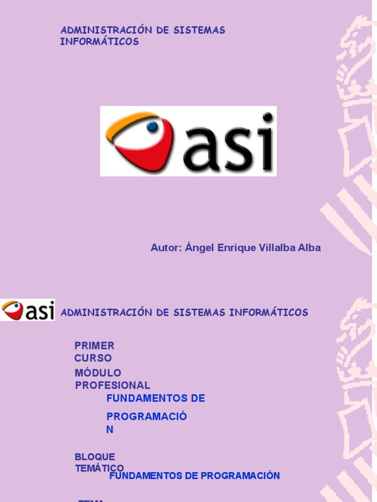 Tema 2 - Algoritmos. Notaciones y Estructuras | PDF | Algoritmos | Programa de computadora