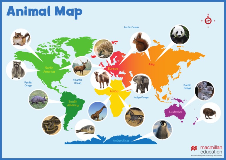 Animal World Map | PDF | Qualia | Graphic Design