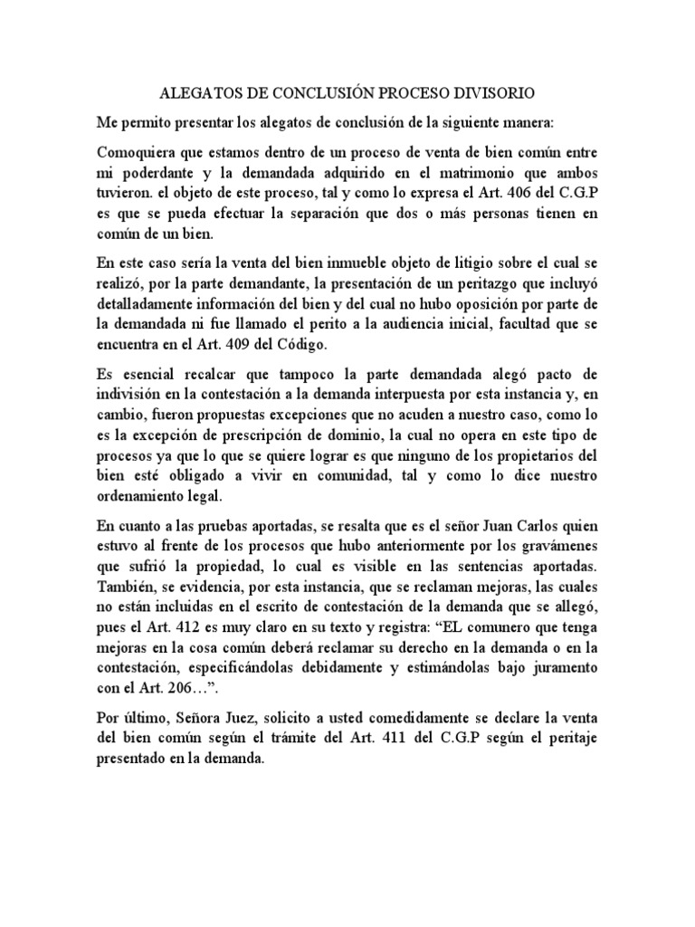 Alegatos Proceso Divisorio | PDF