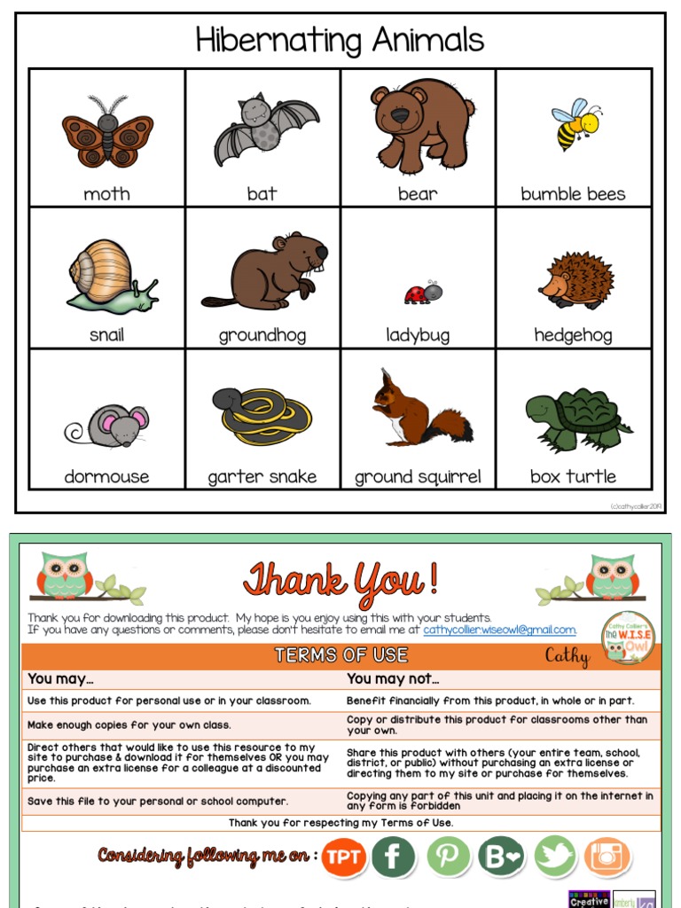 Hibernating Animals Word Card UPDATE | PDF