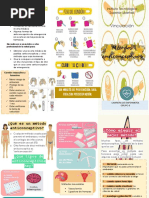 Folleto Metodos Anticonceptivos | PDF | Control de la natalidad | Condón