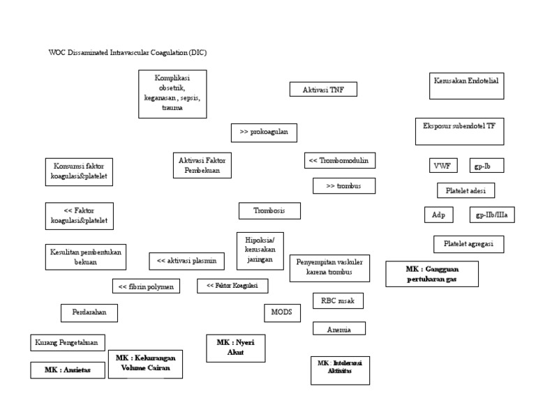 Woc Dic Grouped | PDF