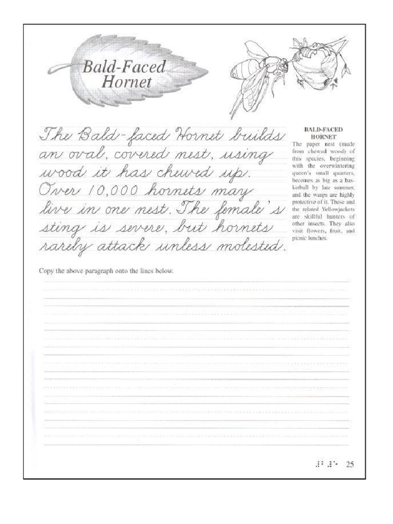 Handwriting Worksheets Grade 5 | PDF