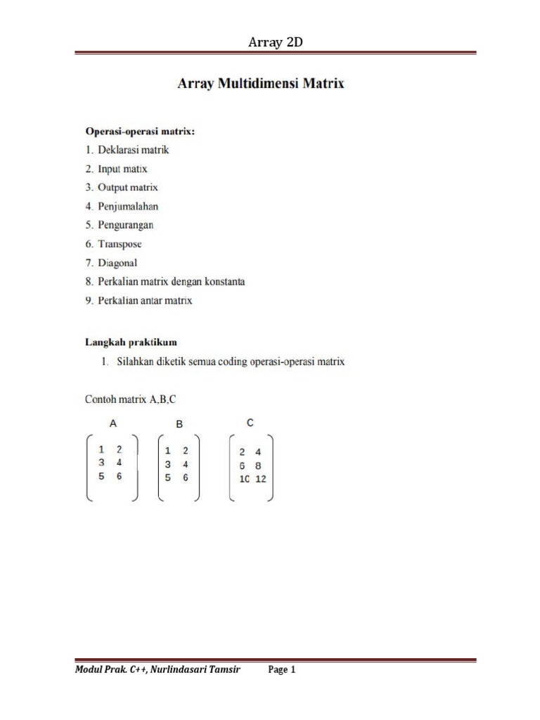 Array 2D: Modul Prak. C++, Nurlindasari Tamsir | PDF