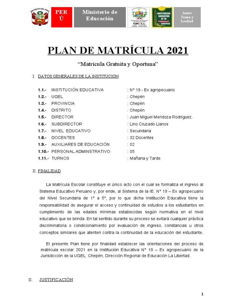 Plan de Matrícula Escolar 2021 IE N° 19 | PDF | Educación primaria | La ...