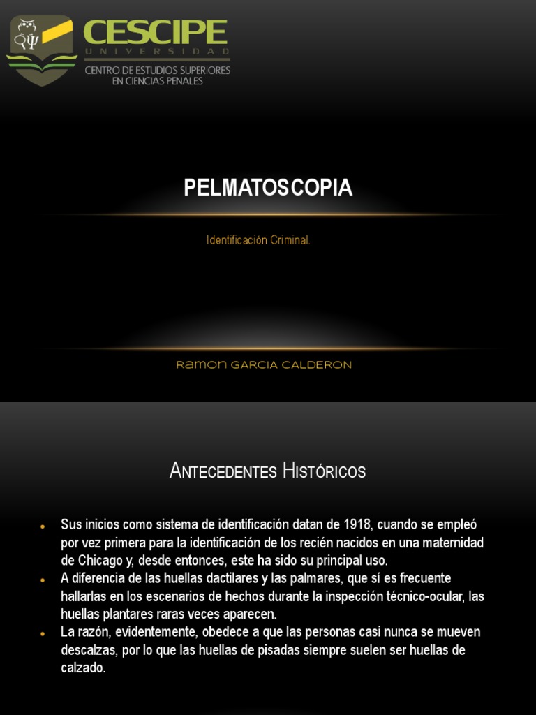 PELMATOSCOPIA, Rg. | PDF | Huella dactilar | Naturaleza