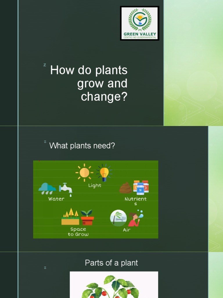 How Do Plants Grow and Change | PDF