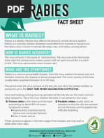 Animal Bite Flowchart | PDF | Rabies | Patient