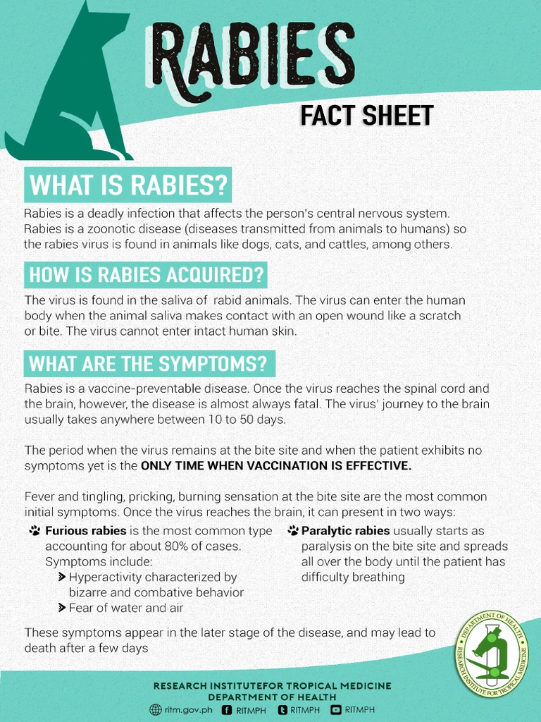 Rabies-Fact Sheet | PDF