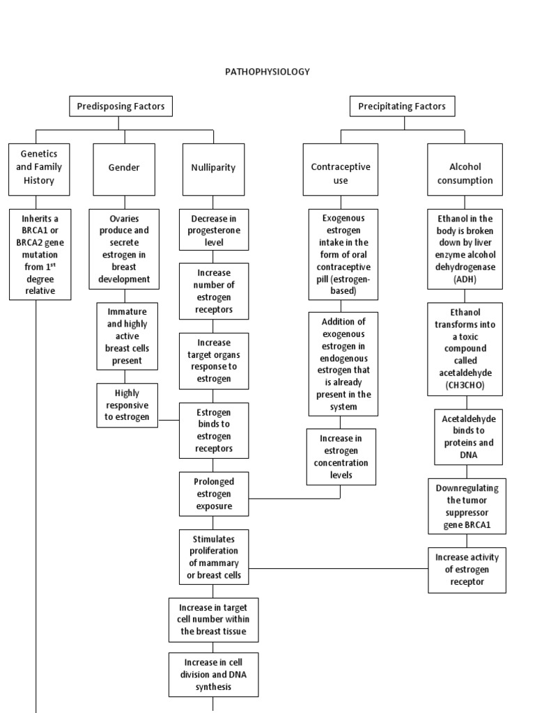 Breast CA Pathophysiology | PDF | Breast Cancer | Lymphatic System