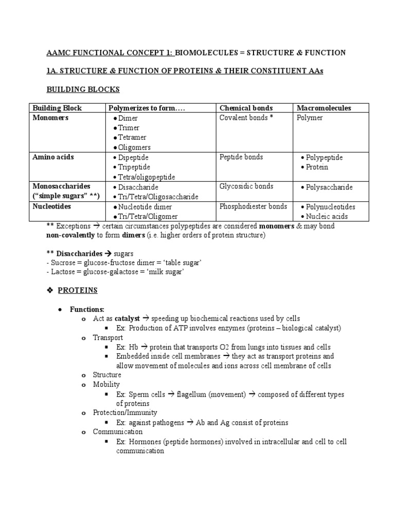 MCAT Self Prep | PDF | Amino Acid | Protein Folding