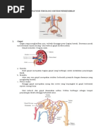 Struktur dan Fungsi Ginjal | PDF