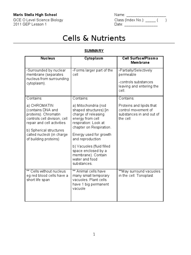 GEP Worksheets - Cells and Nutrients | PDF | Carbohydrates | Vacuole
