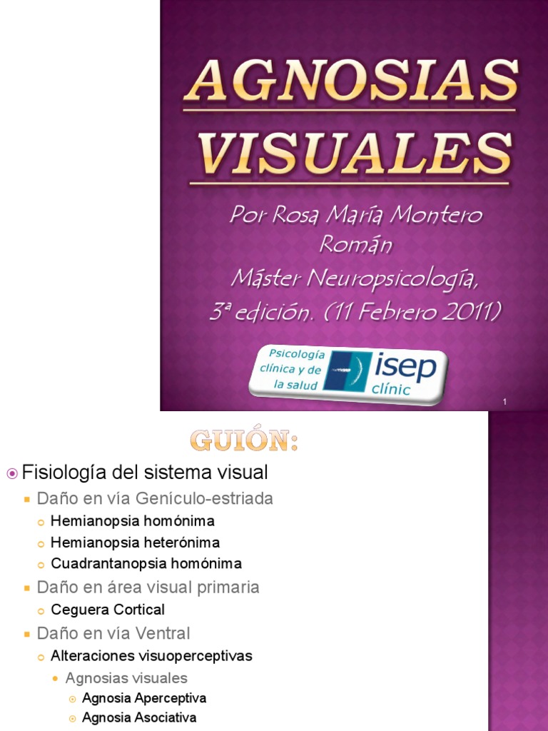 Agnosias Visuales | PDF | Sistema visual | Corteza visual